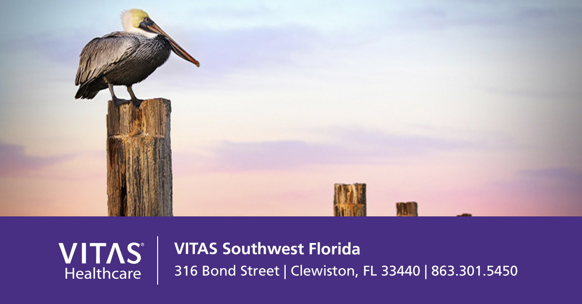 Hospice Care in Fort Myers, Lee, Glades, and Hendry Counties | VITAS ...